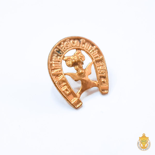 Pines troquelados 3D (PIN3D003) – Fábrica Nacional de Trofeos